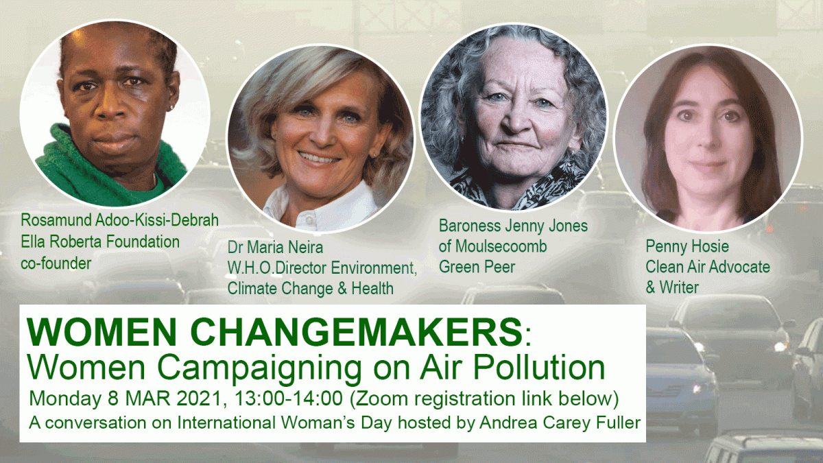 Women ChangeMakers: Women Campaigning on Air Pollution 1pm 8th March ...